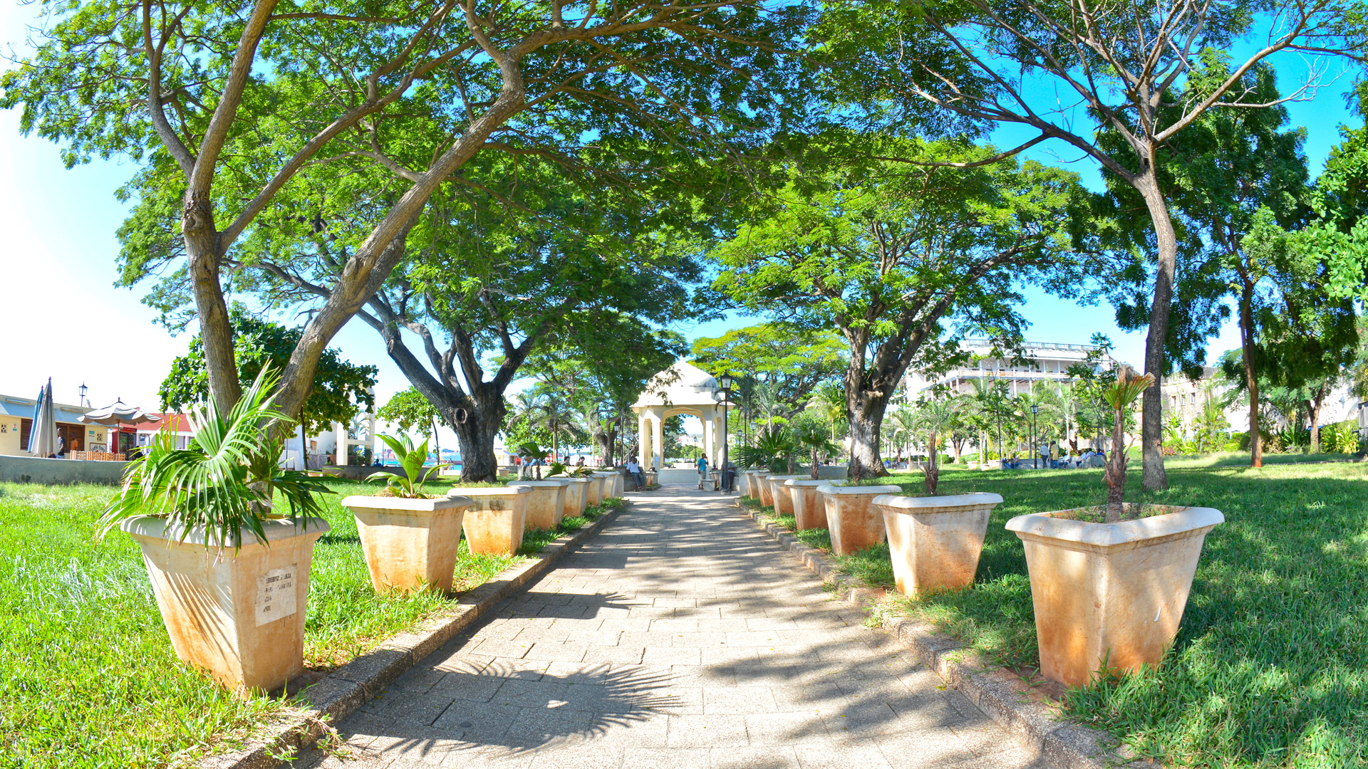 Tembo House Hotel – ATR