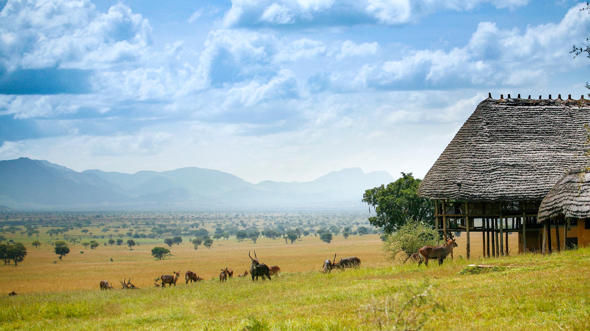 Apoka Lodge – ATR