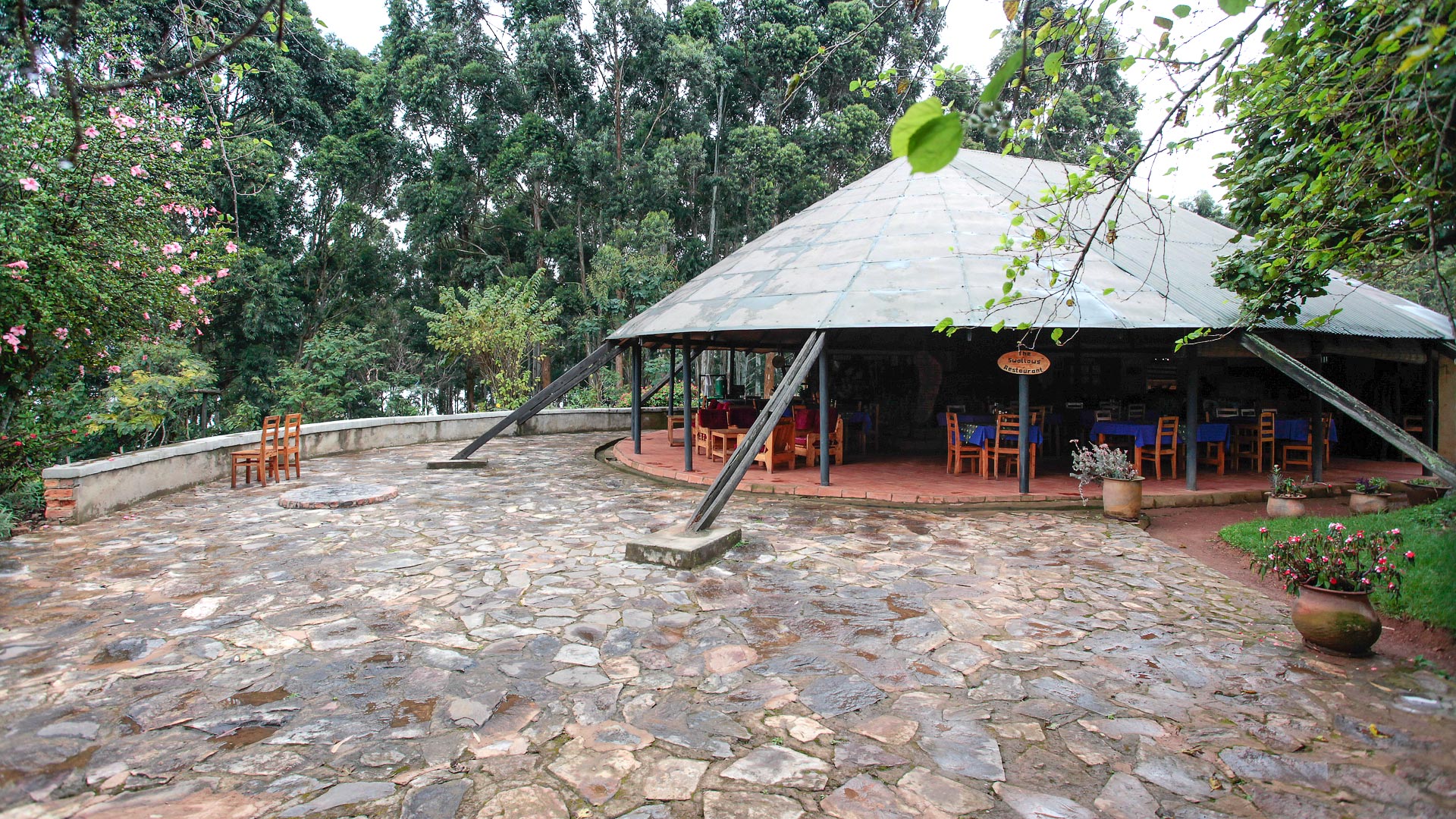 Bushara Island Camp - ATR