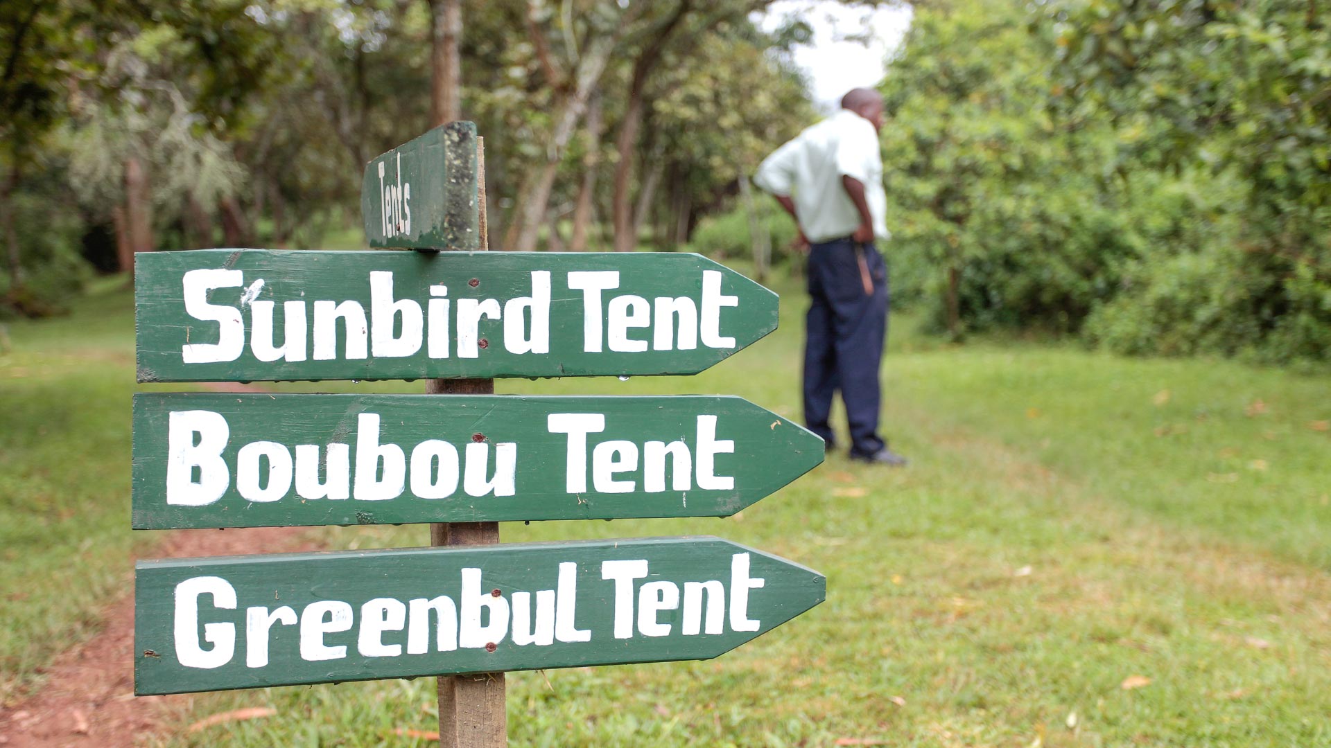 Bushara Island Camp - ATR