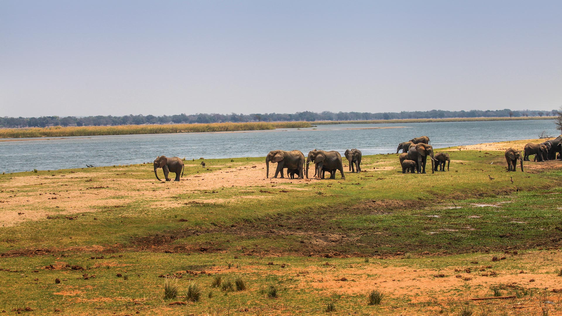 Royal Zambezi Lodge – ATR