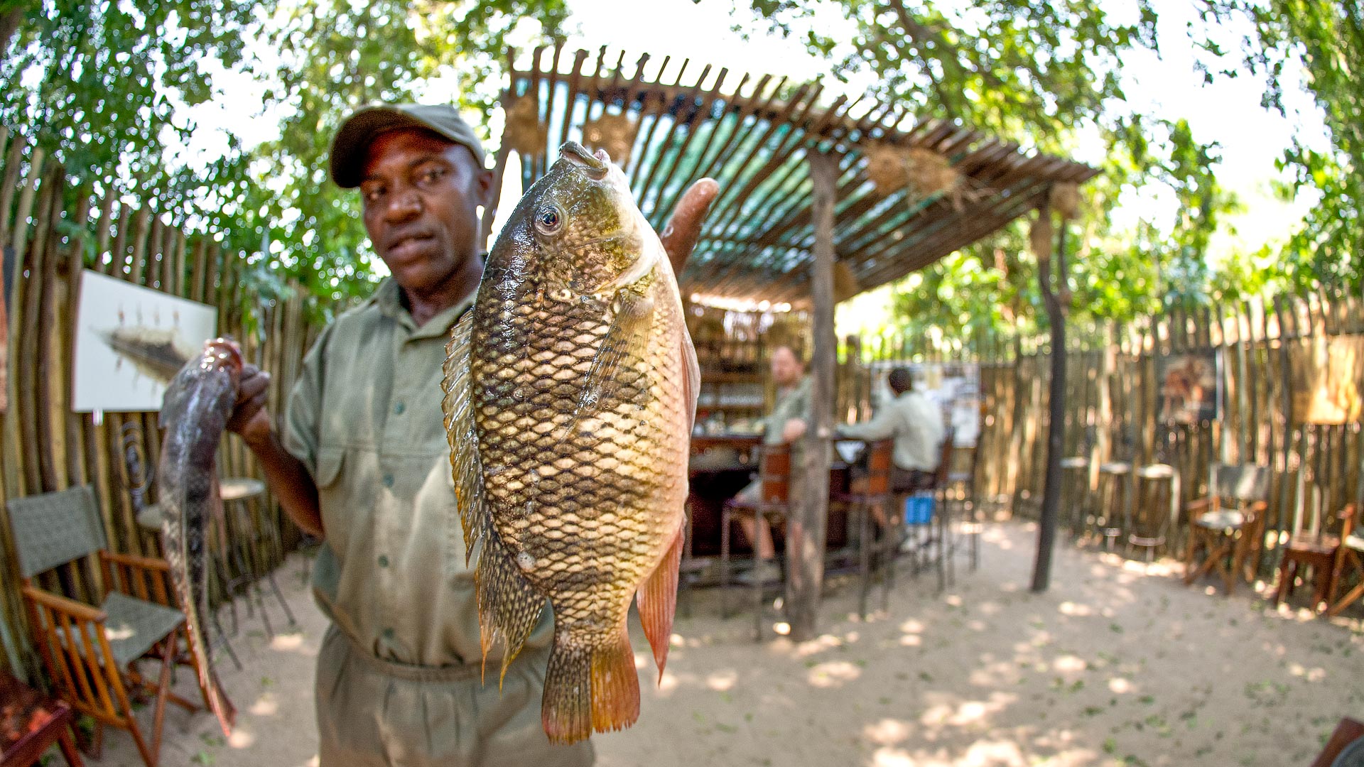 Goliath Tented Camp – ATR