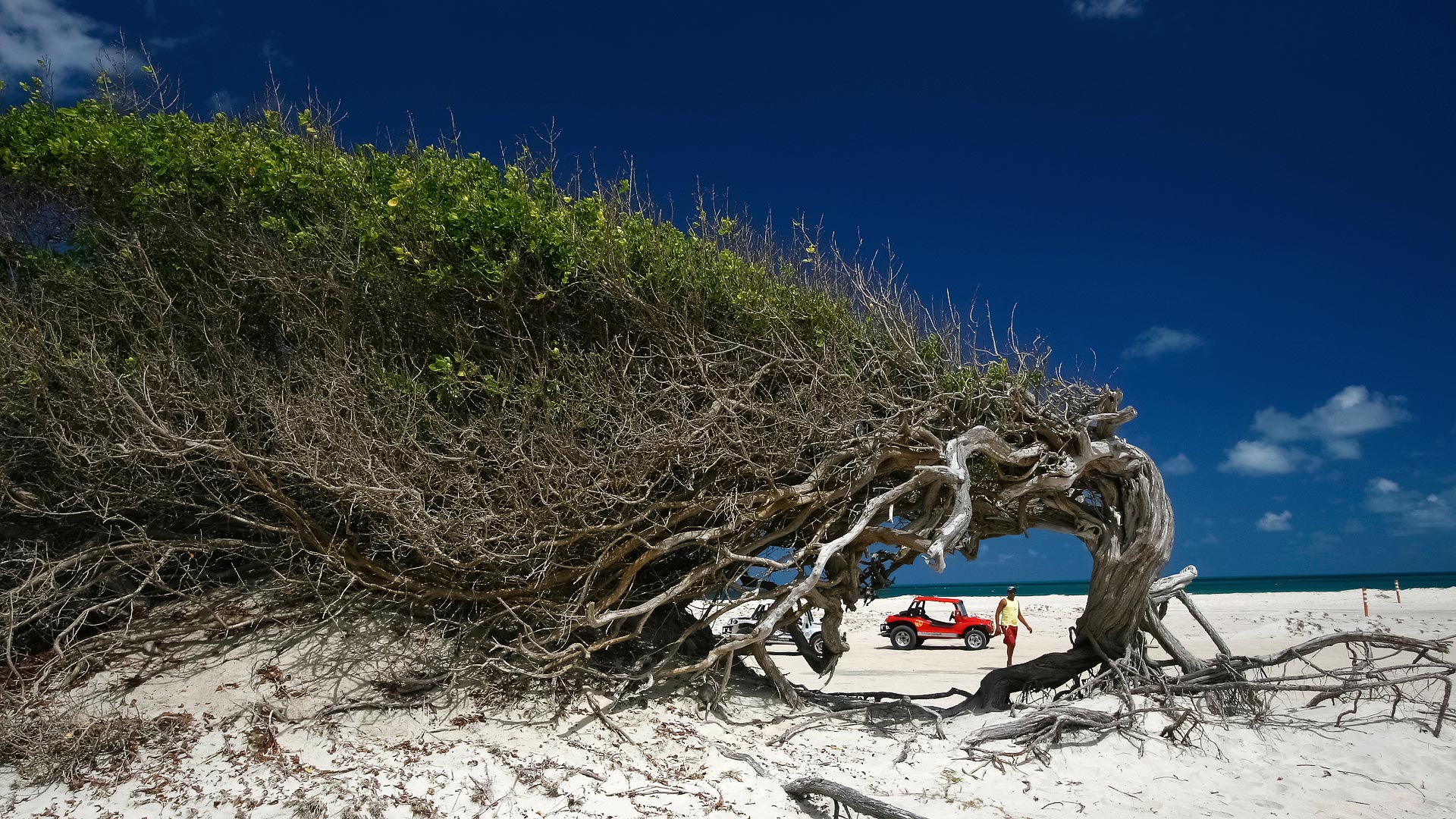 The Chili Beach – ATR