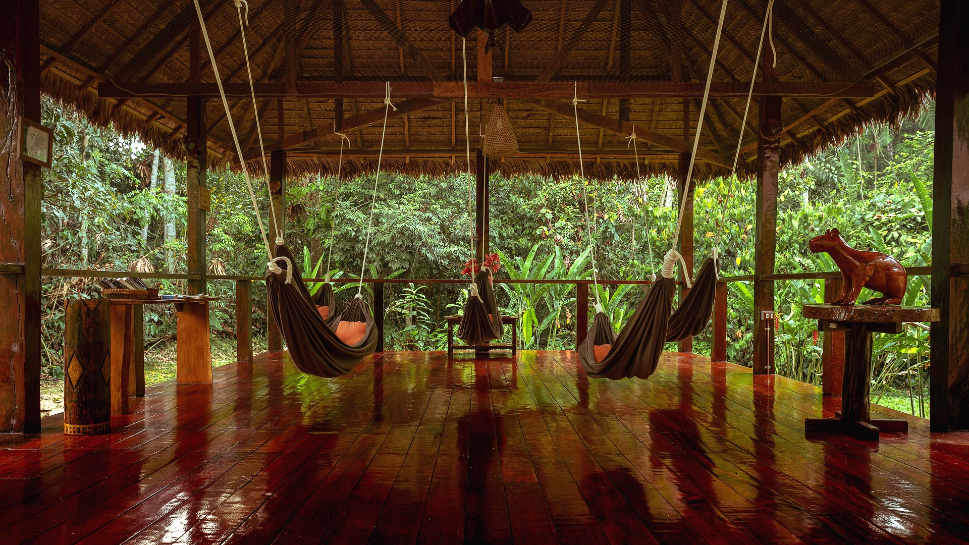 Posada Amazonas – ATR