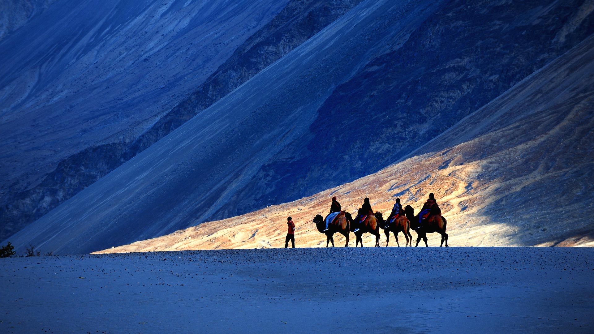 Travel to India - ATR