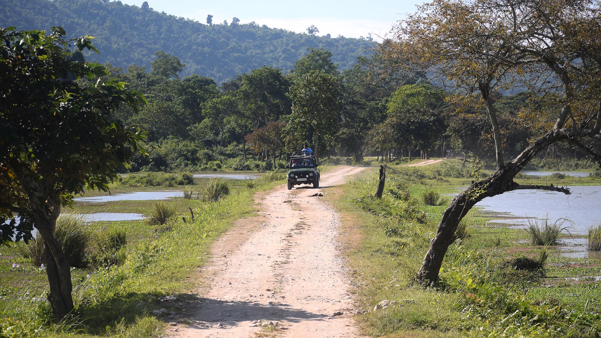 Diphlu River Lodge - ATR