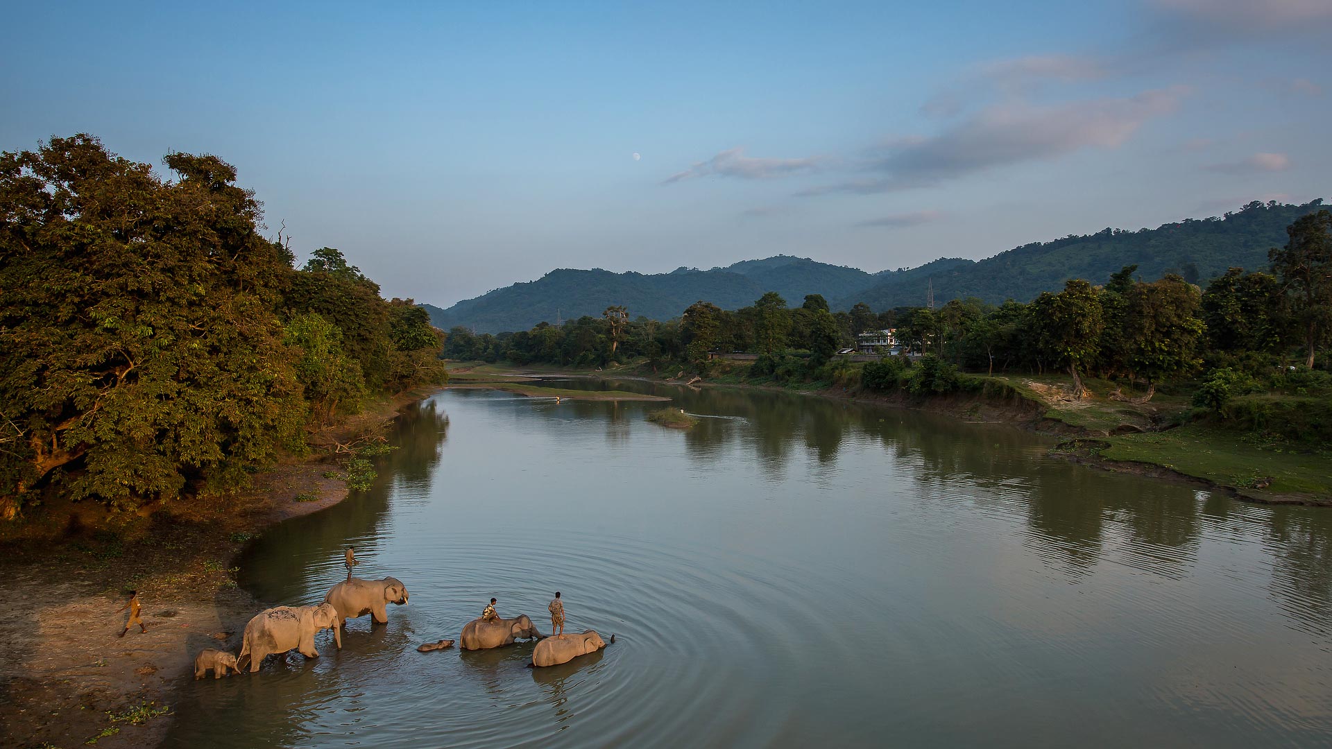 Diphlu River Lodge - ATR