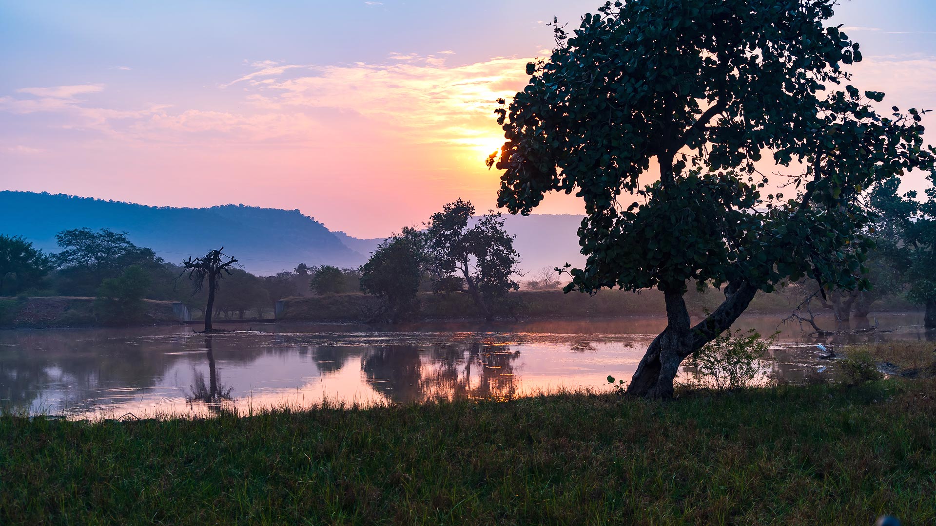 Sujan Sher Bagh - ATR