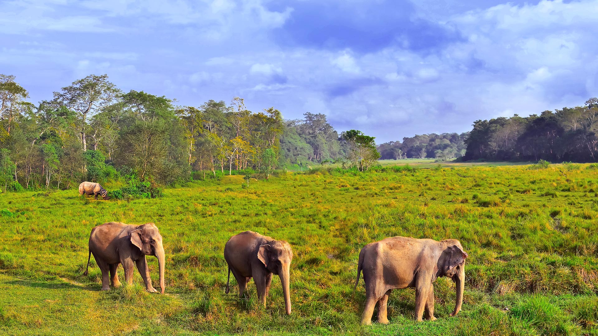 Barahi Jungle Lodge – ATR