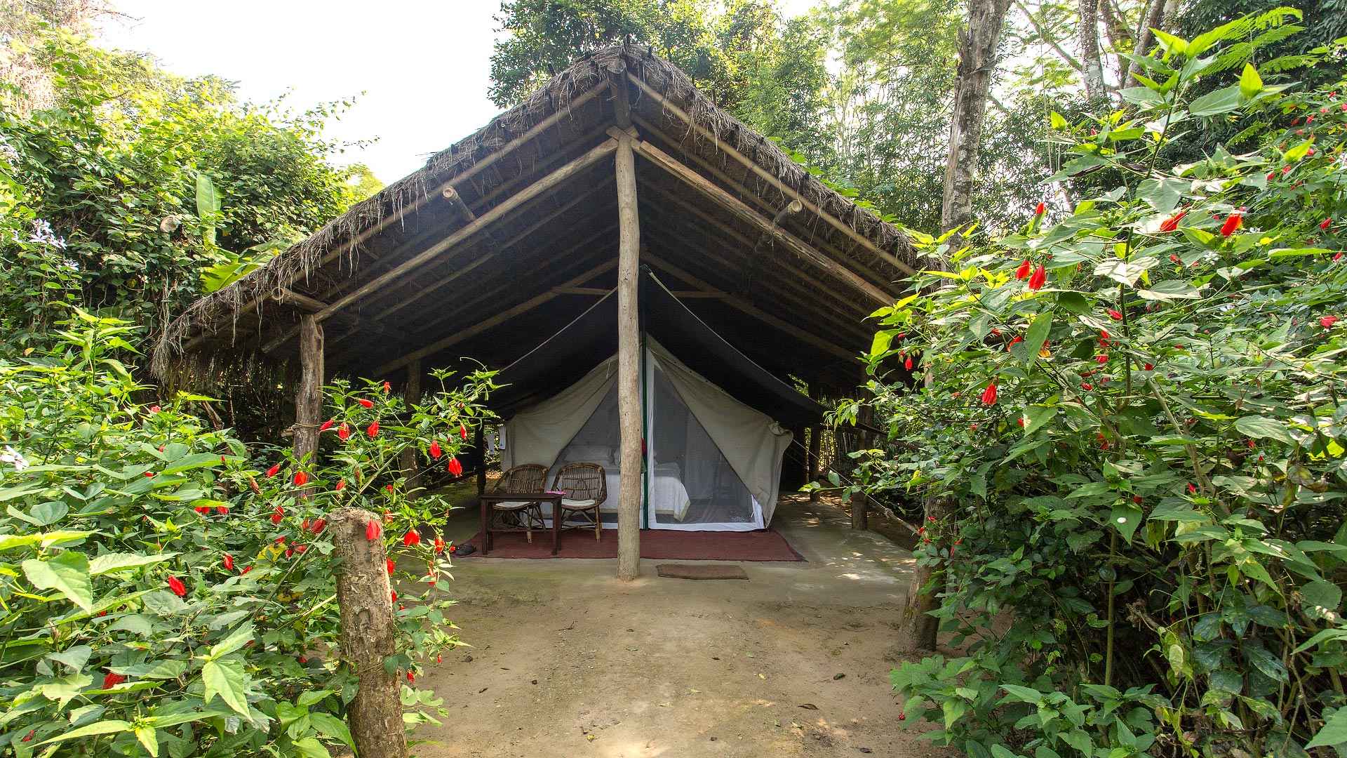 Tiger Tops Tharu Lodge - ATR
