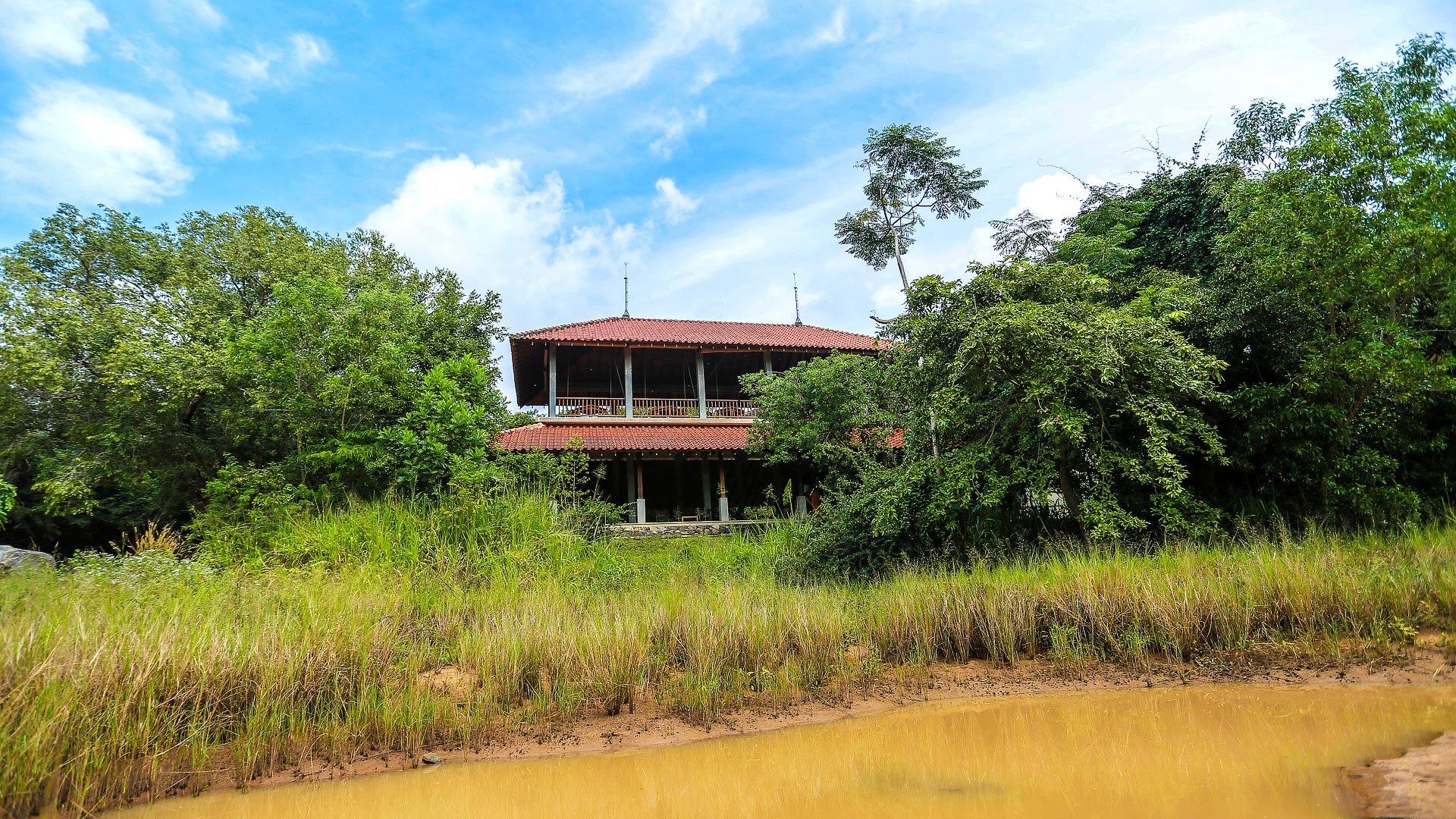Wild Grass Resort - ATR