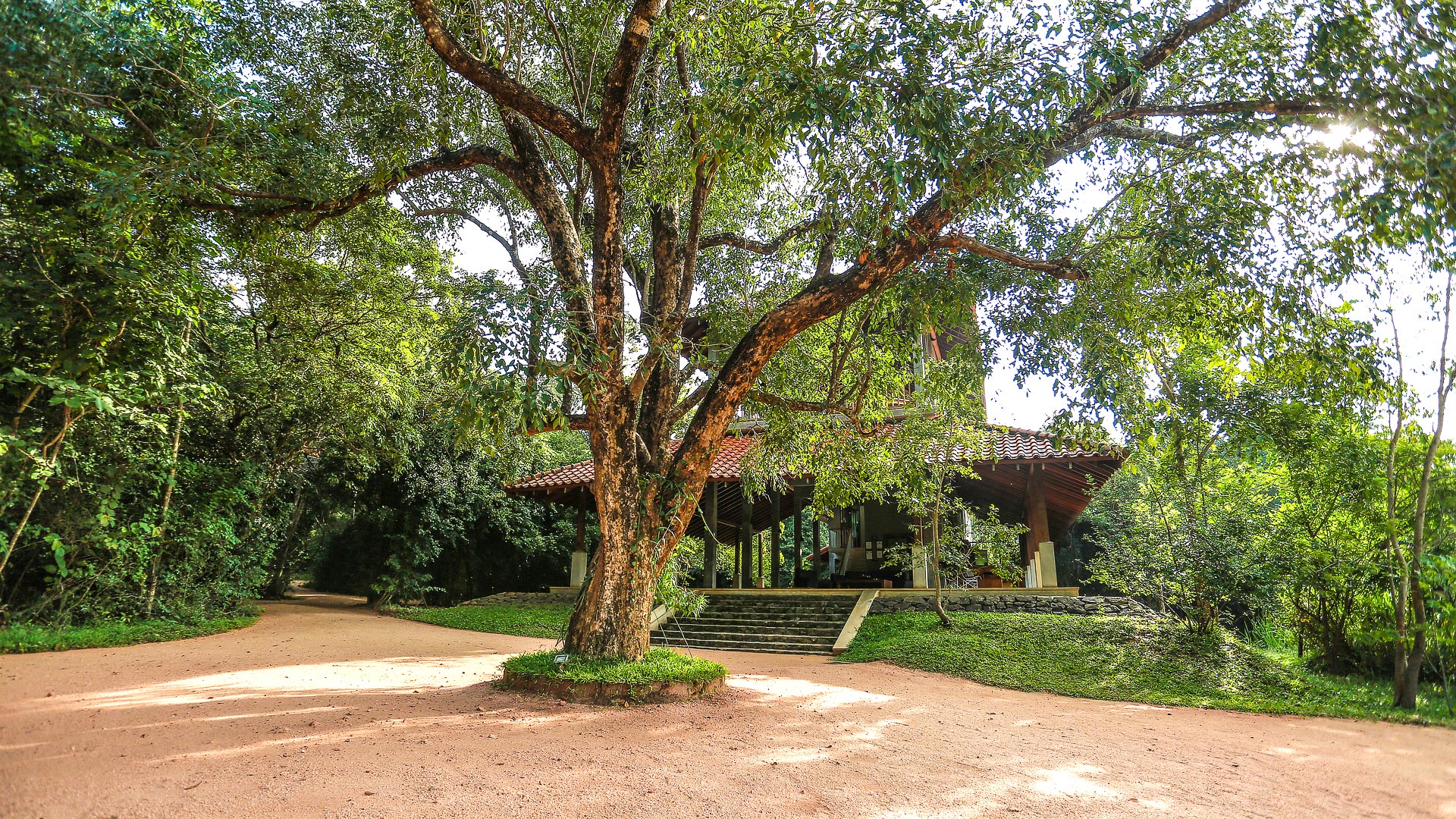 Wild Grass Resort - ATR