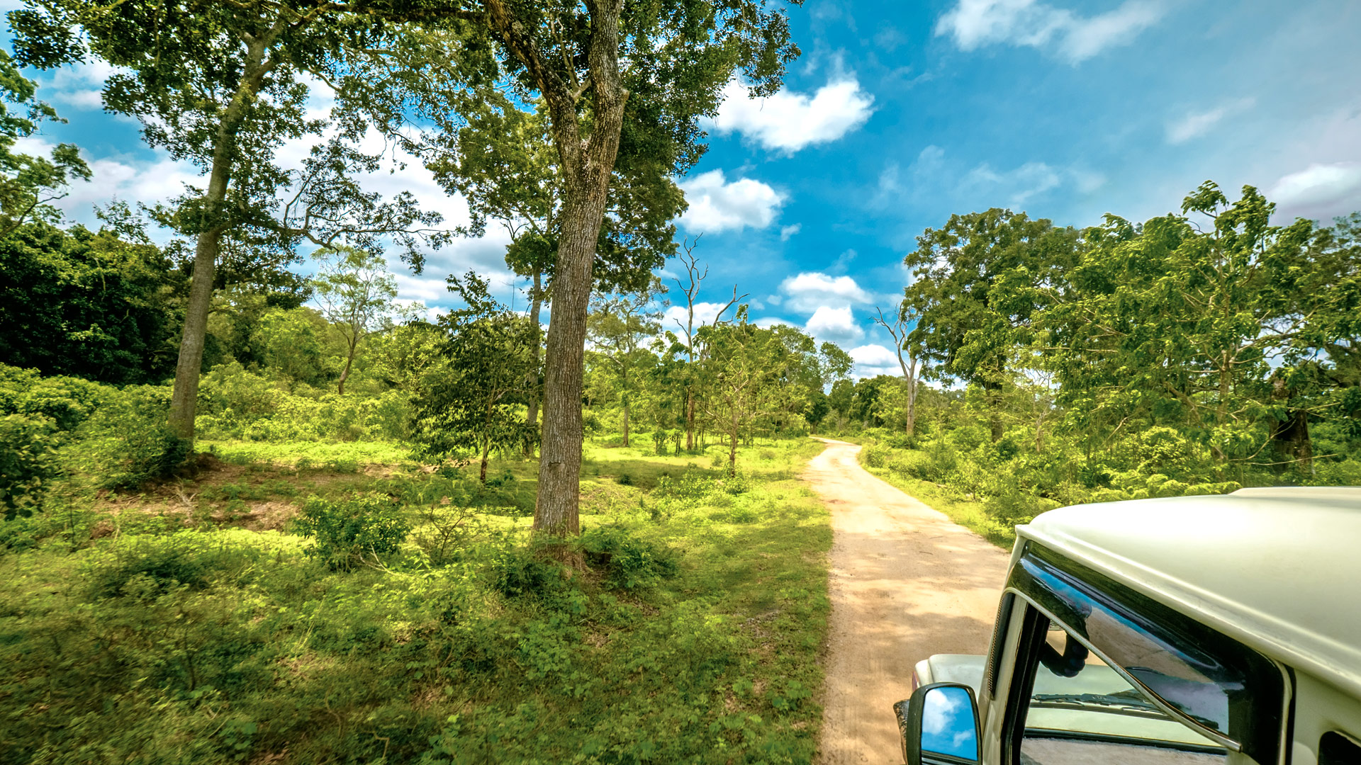 Mahoora Yala Camp - ATR